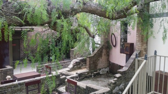 The Rocks Self-Guided Walk Sydney | Sydney Expert