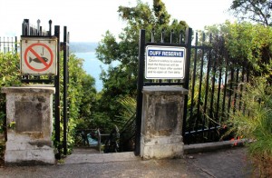 A Budget-Friendly Bus ride: Walsh Bay to Watsons Bay | Sydney Expert