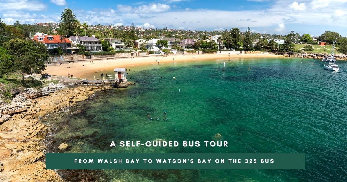 A Budget-Friendly Bus ride: Walsh Bay to Watsons Bay | Sydney Expert