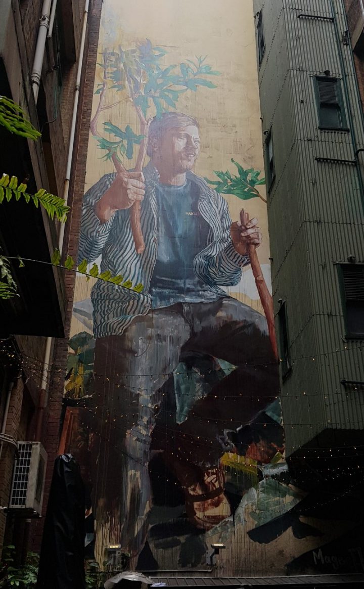 20+ Fintan Magee Murals in Sydney | Sydney Expert