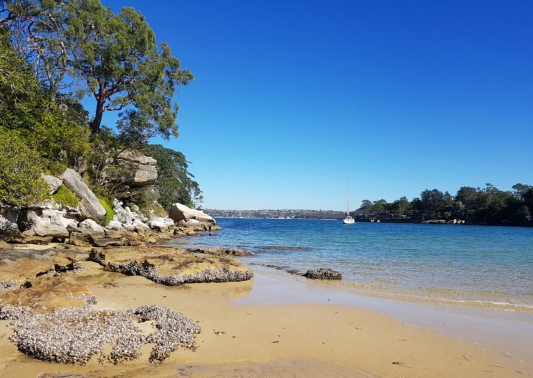 The North Head Walk and Lookout Manly | Sydney Expert