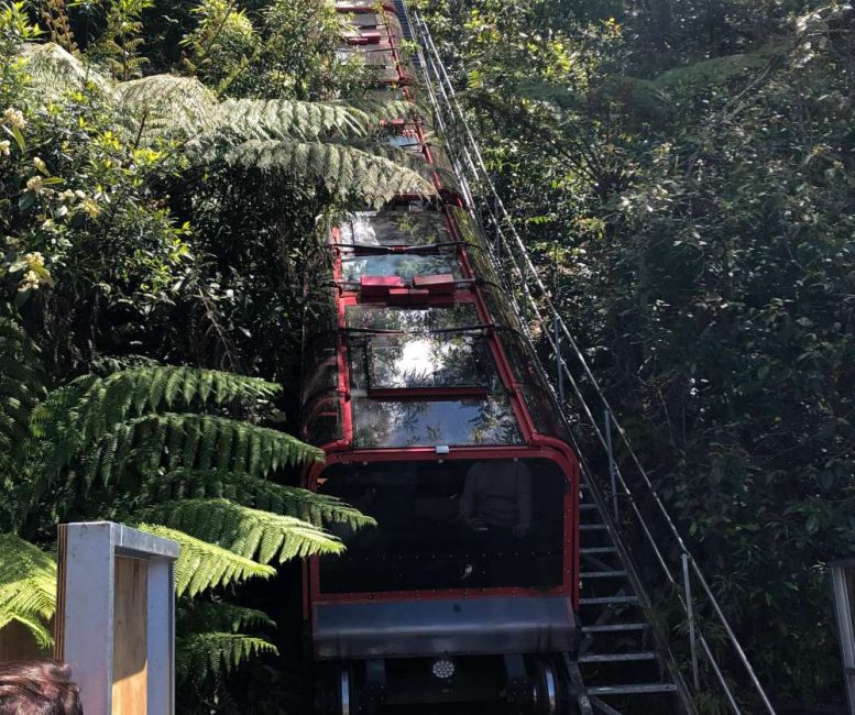 How to Visit the Blue Mountains By Train: Easy Itineraries to follow