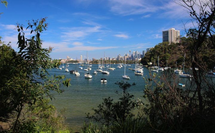 How to Take the Best Photos of Sydney Harbour | Sydney Expert