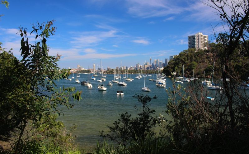 How to Take the Best Photos of Sydney Harbour | Sydney Expert