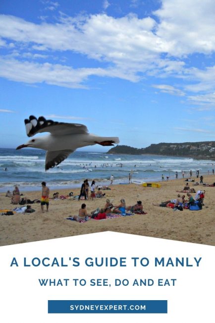 A Guide to the Best Things to Do in Manly