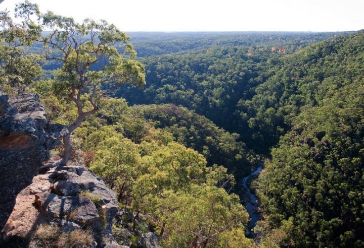 Blue Mountains Lookouts: Best Sunrise & Sunset Spots 2026