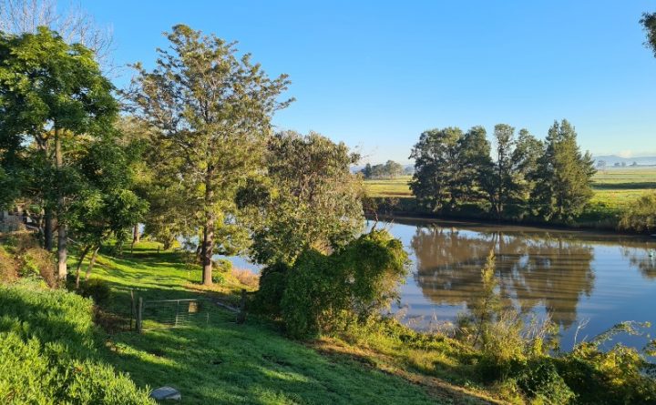 A Weekend Getaway to Maitland and Morpeth | Sydney Expert
