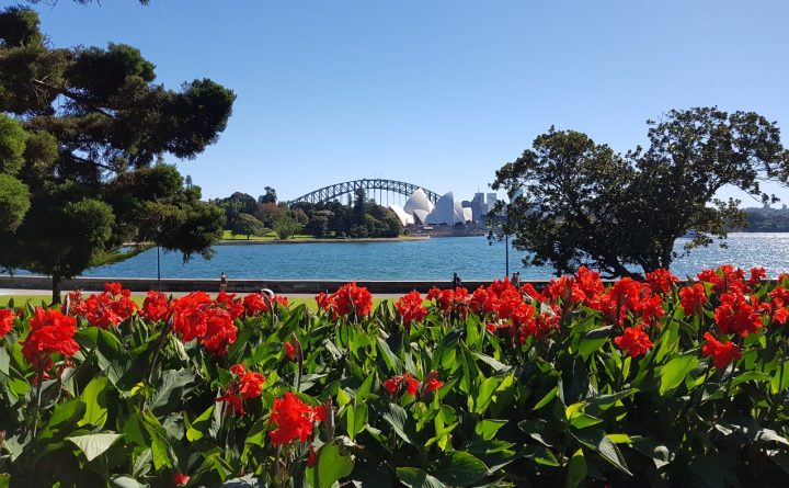 An ABC of the Most Beautiful Gardens in Sydney | Sydney Expert