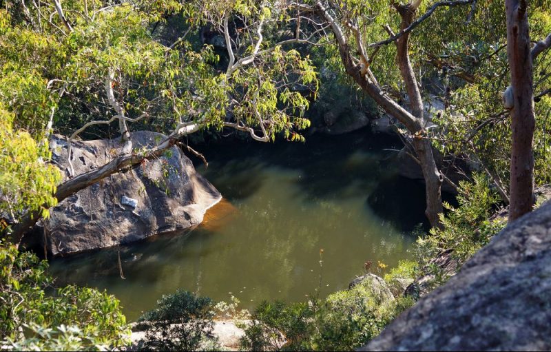 12 Easy Blue Mountains Walks You Will Love | Sydney Expert