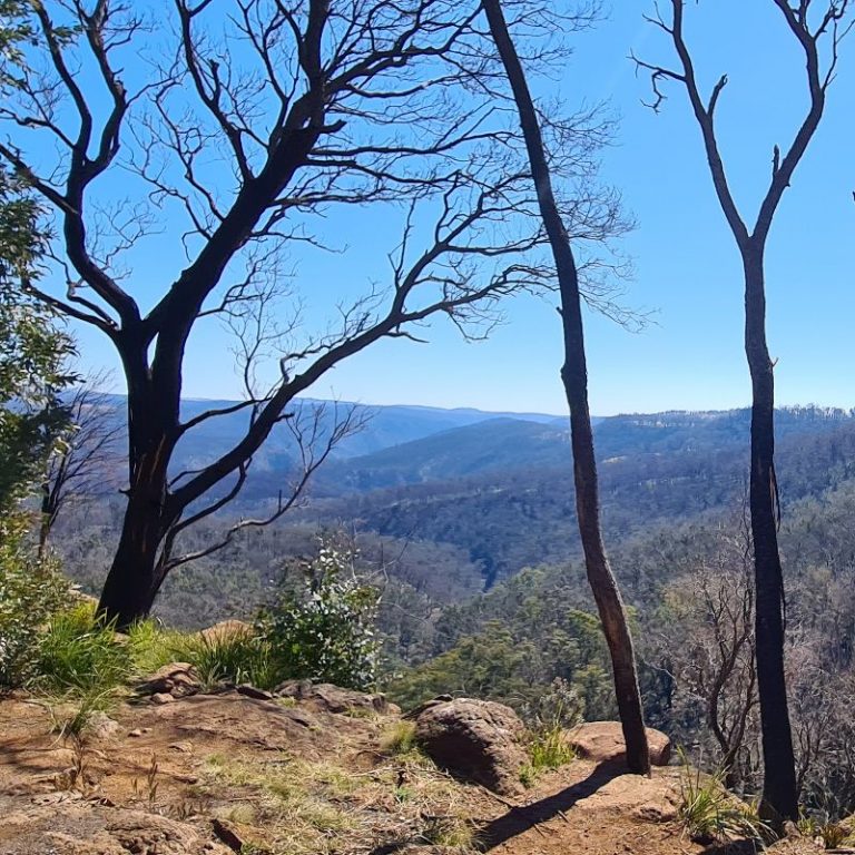 Where to Find the Best Waterfalls in NSW | Sydney Expert