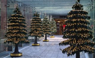 Ultimate Christmas in Sydney: Guide to Events | Sydney Expert