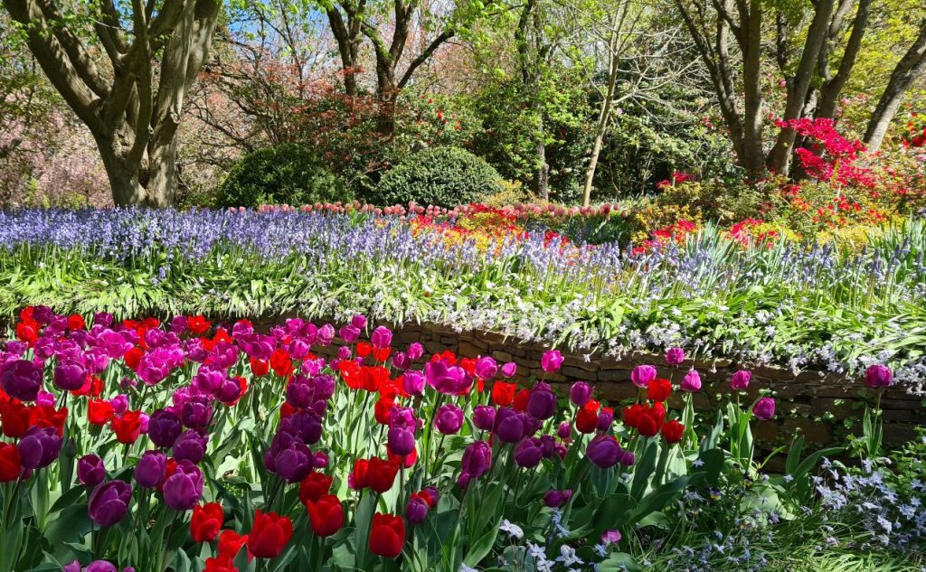 What's on in Sydney in October 2025 | Sydney Expert