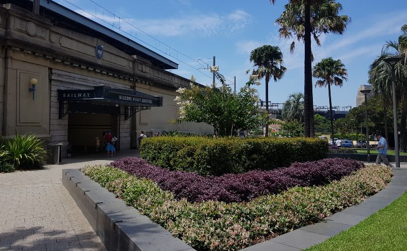 Lavender Bay Walk: Wendy's Secret Garden & Milsons Point | Sydney Expert