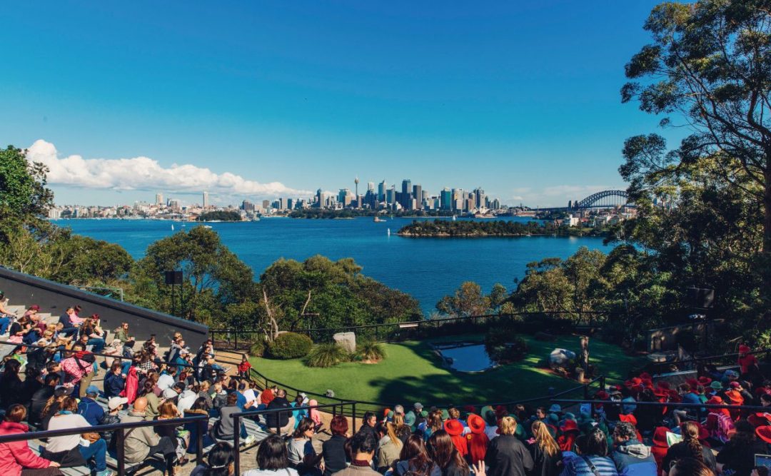 The Ultimate Sydney Layover Guide | Sydney Expert