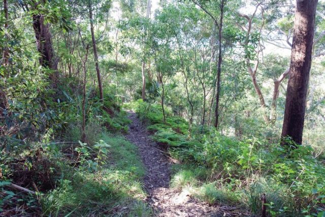 9 Stunning Walks in Wollongong and the Illawarra | Sydney Expert