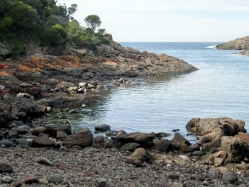 9 Stunning Walks in Wollongong and the Illawarra
