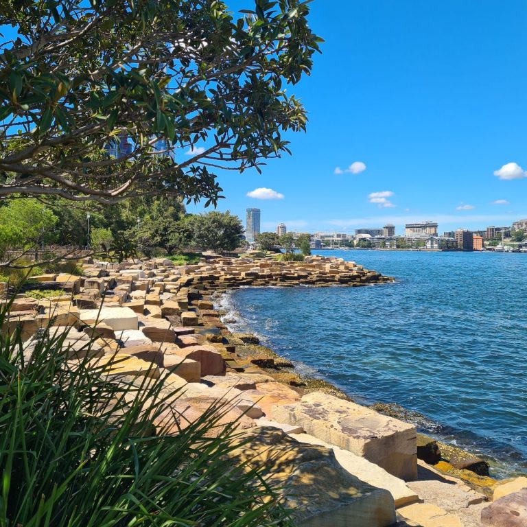 Sydney Harbour Walks 11 Best Routes For 2025 l Sydney Expert