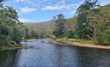 The Best Royal National Park Walks: Guide + Insider Tips | Sydney Expert