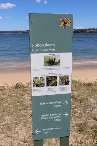 Aboriginal Tours in Sydney: Explore Indigenous Culture | Sydney Expert