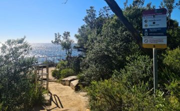 The Best Royal National Park Walks: Guide + Insider Tips | Sydney Expert