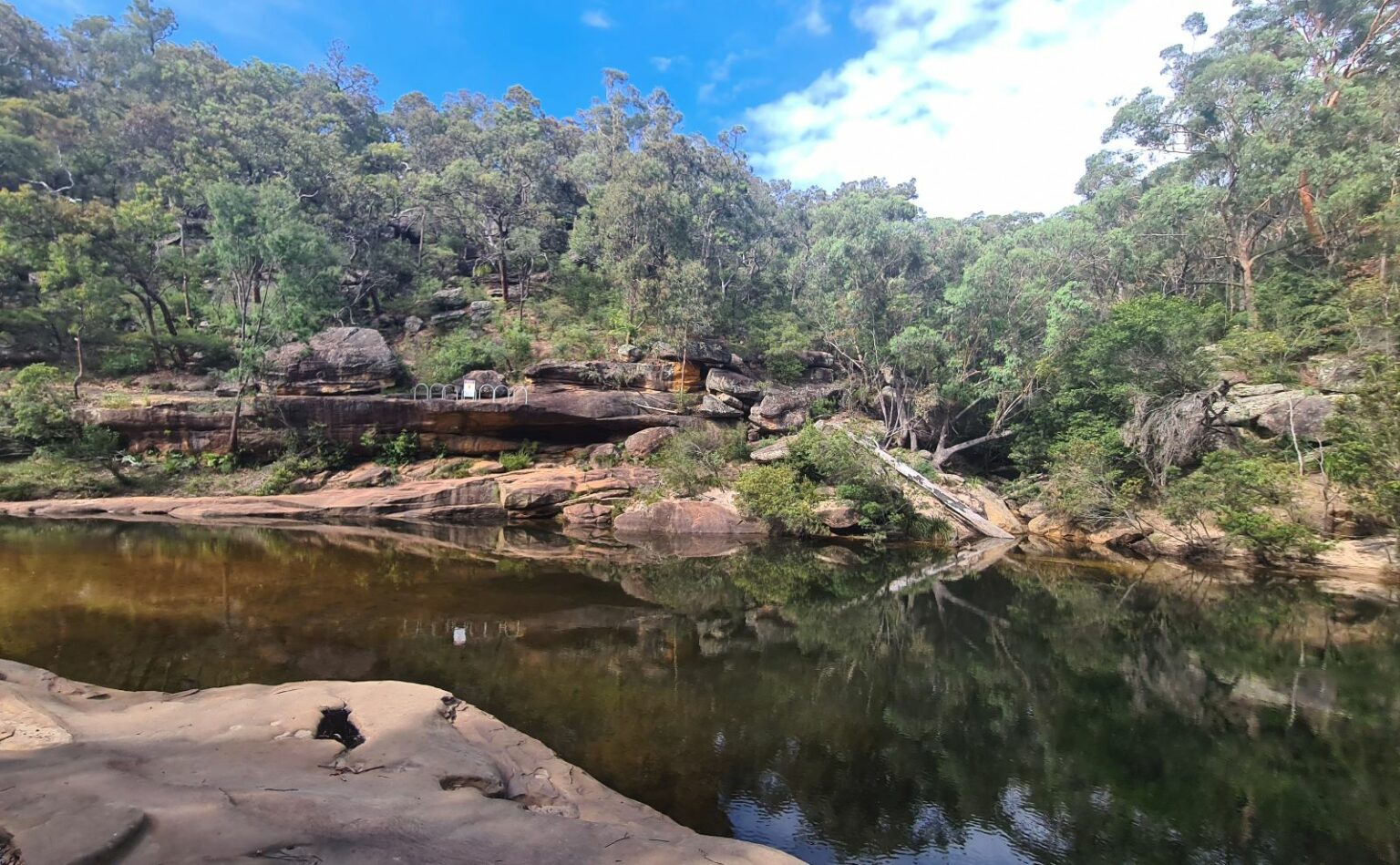 12 Easy, Short Blue Mountains Walks For all ages | Sydney Expert