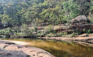 12 Easy, Short Blue Mountains Walks For all ages | Sydney Expert