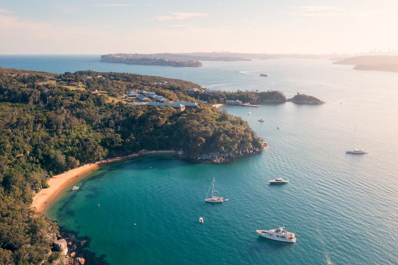 Sydney Harbour Beaches: The Ultimate Local's Guide | Sydney Expert