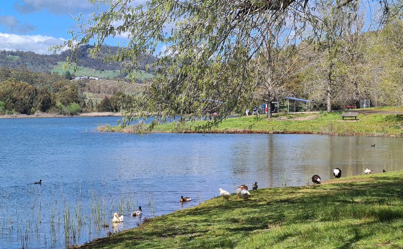 13 Epic NSW Road Trips: From Coast to Countryside | Sydney Expert