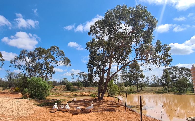 13 Epic NSW Road Trips: From Coast to Countryside | Sydney Expert