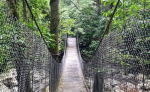 9 Stunning Walks in Wollongong and the Illawarra | Sydney Expert