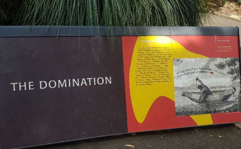 Aboriginal Tours in Sydney: Explore Indigenous Culture | Sydney Expert