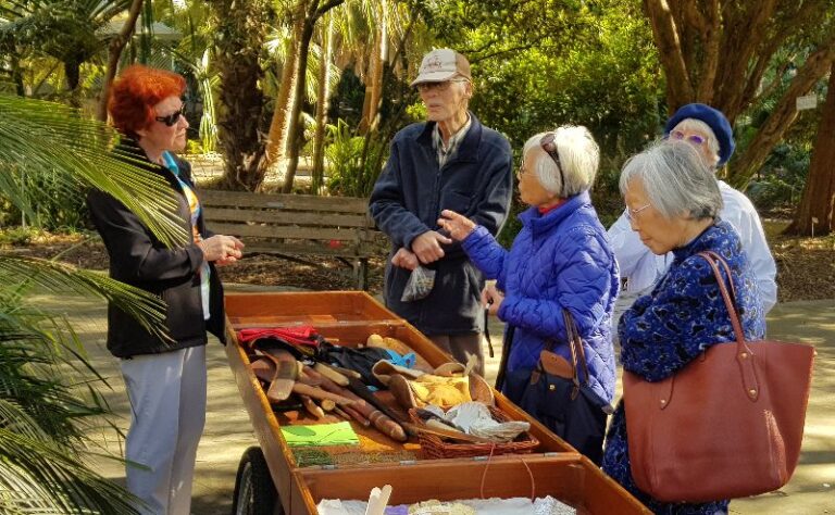 Aboriginal Tours in Sydney: Explore Indigenous Culture | Sydney Expert