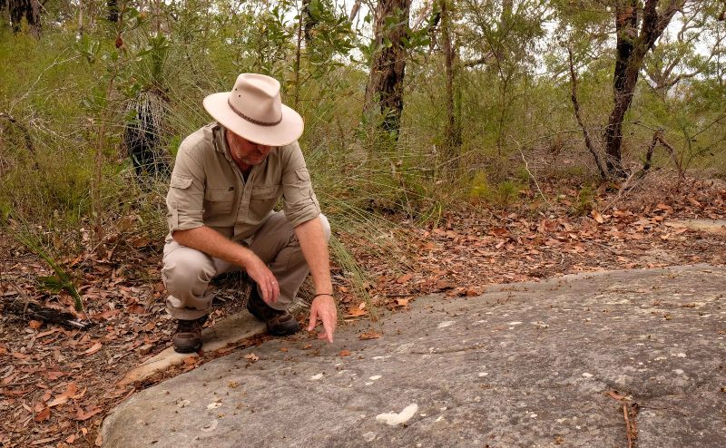 Australia in One Day: Is this the best Nature and wildlife tour In ...