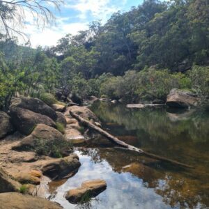 51 Fun Things To Do in the Blue Mountains | Sydney Expert
