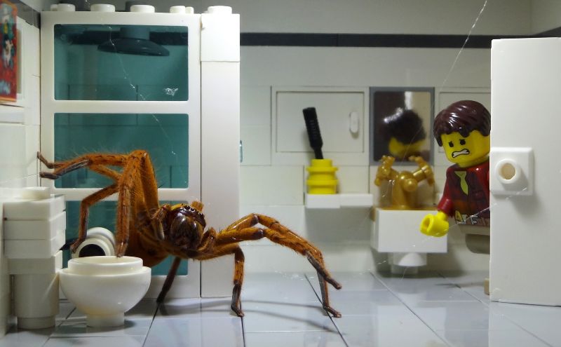 School Holidays in Sydney: Summer 24-25 | Sydney Expert